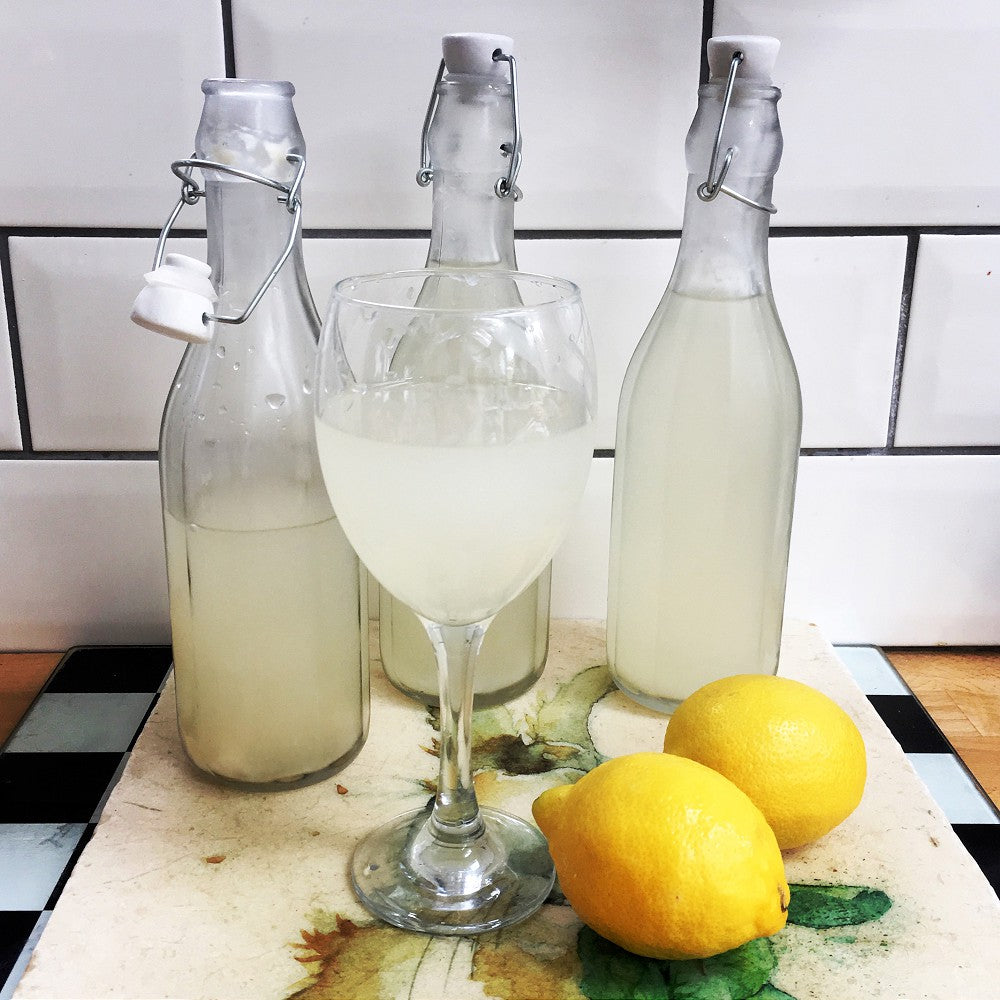 Naturally Fermented Lemonade Recipe – Almost Off Grid