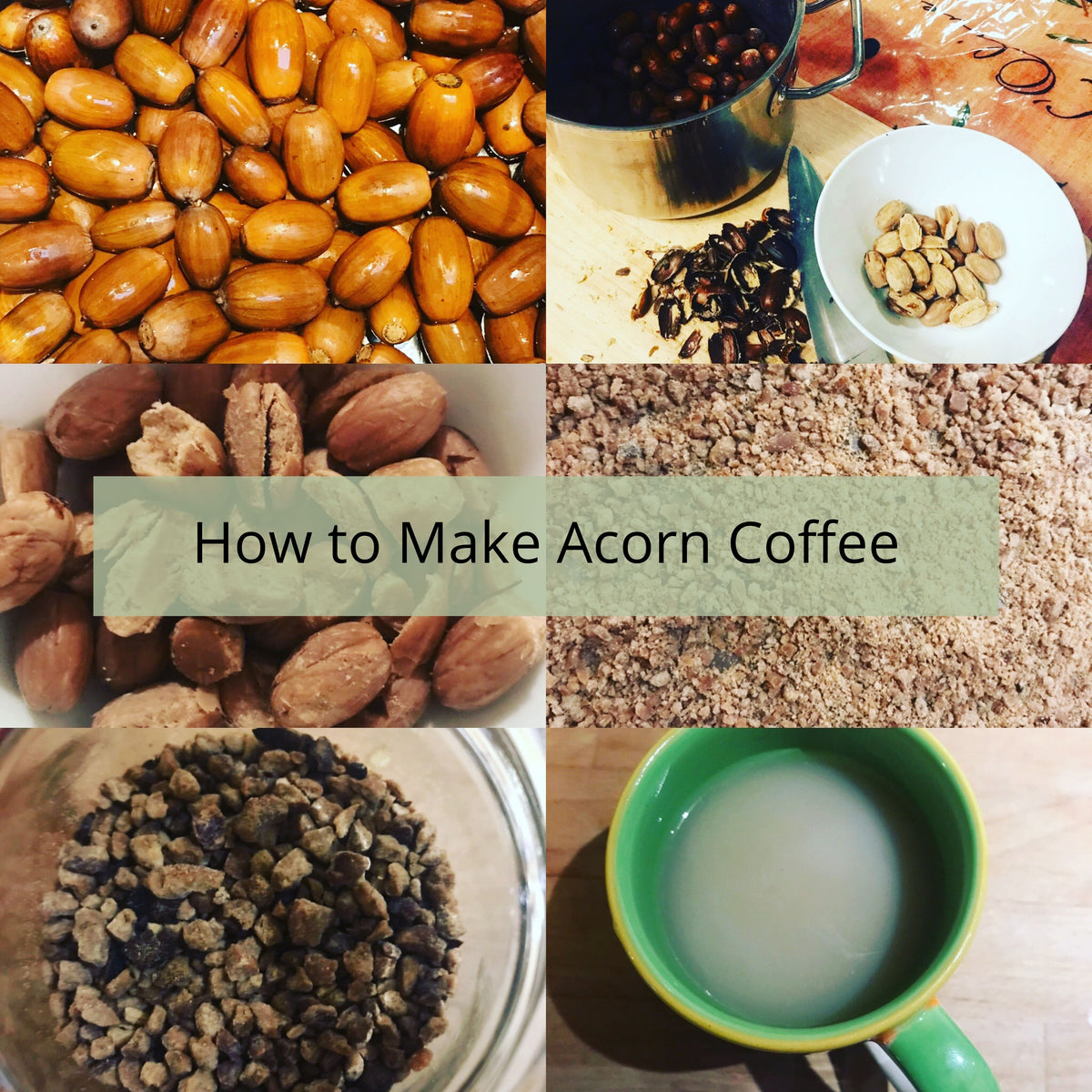 How to make Acorn Coffee – Almost Off Grid